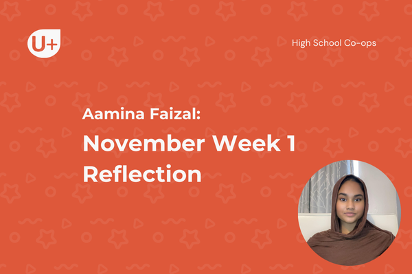November Week 1 Reflection - Aamina - U Plus Education